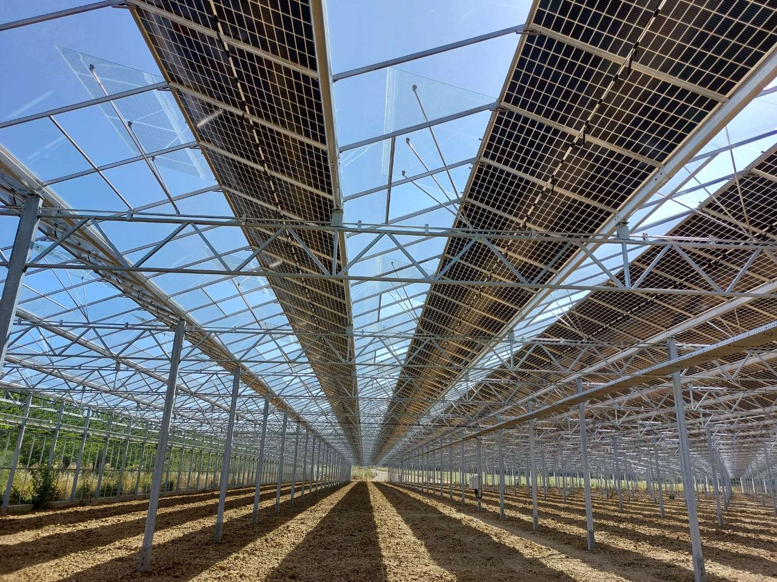 An optimized photovoltaic glass greenhouse designed to maximize yields. - Richel Group